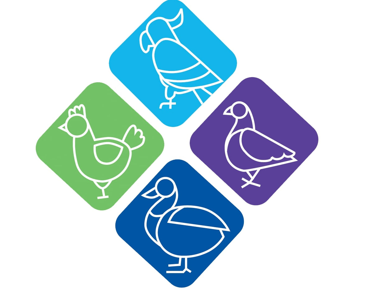 Collections - Avian Fashions